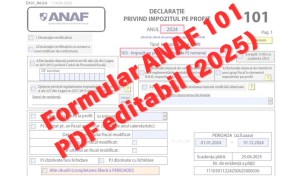 ANAF: Formularul 101 - Declarație privind impozitul pe profit ...